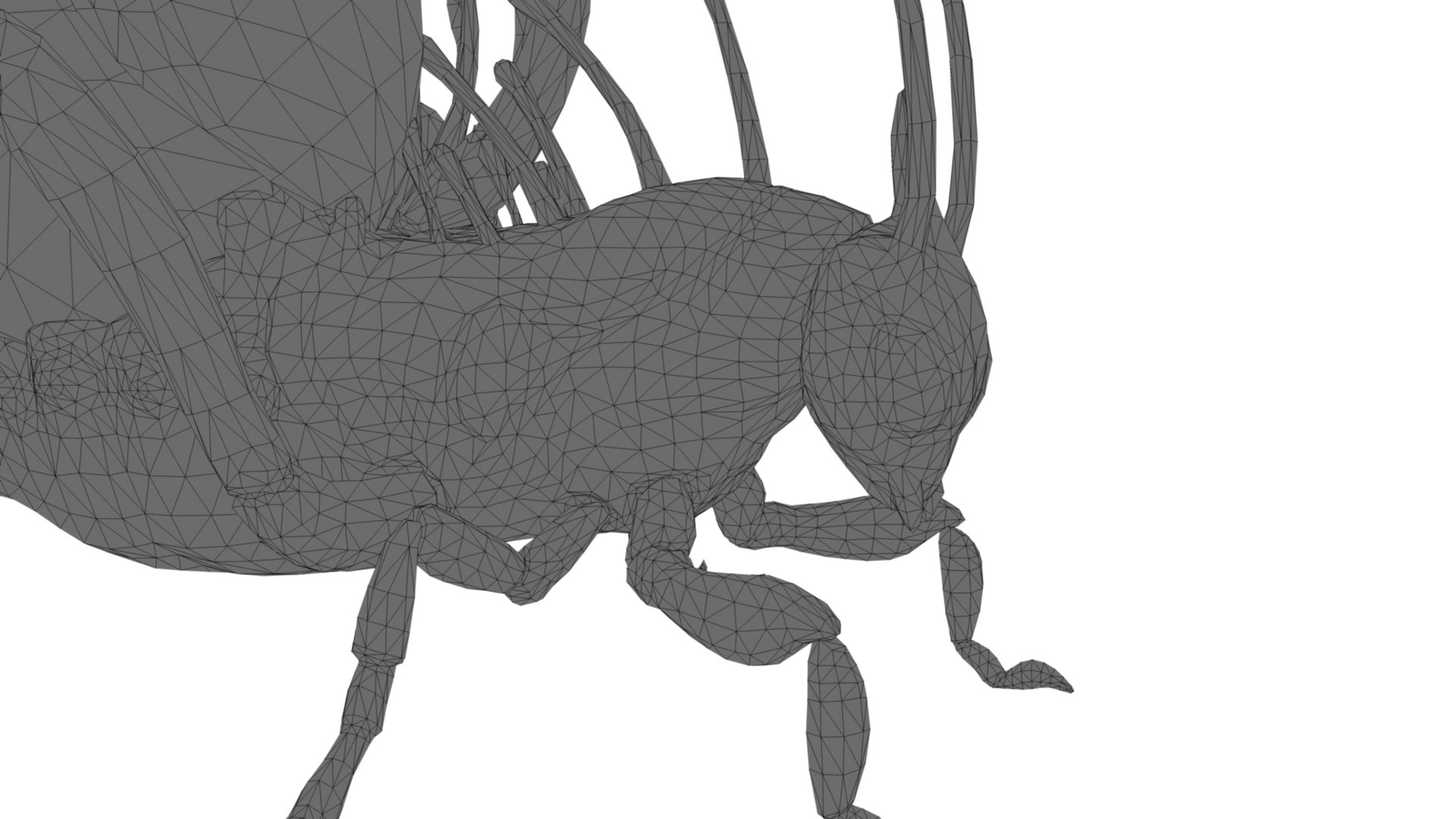 3D Model Bug - TurboSquid 2303306