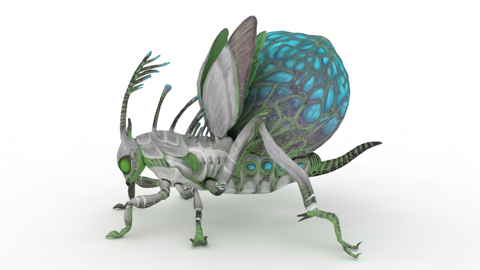 3D Model Bug - TurboSquid 2303306