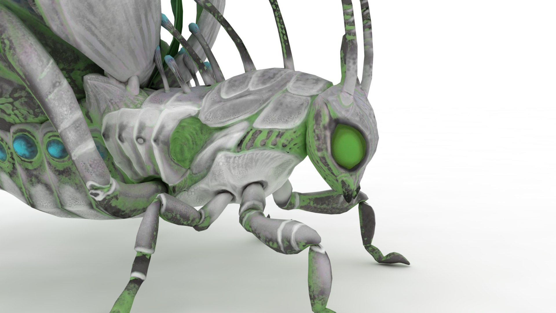3D Model Bug - TurboSquid 2303306