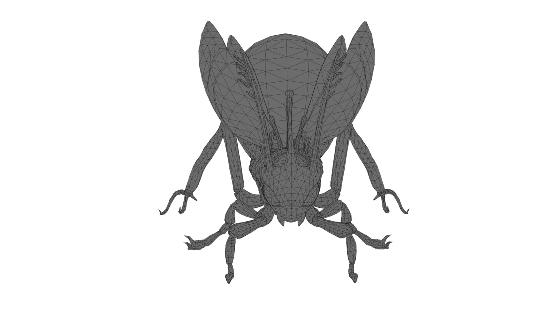 3D Model Bug - TurboSquid 2303306