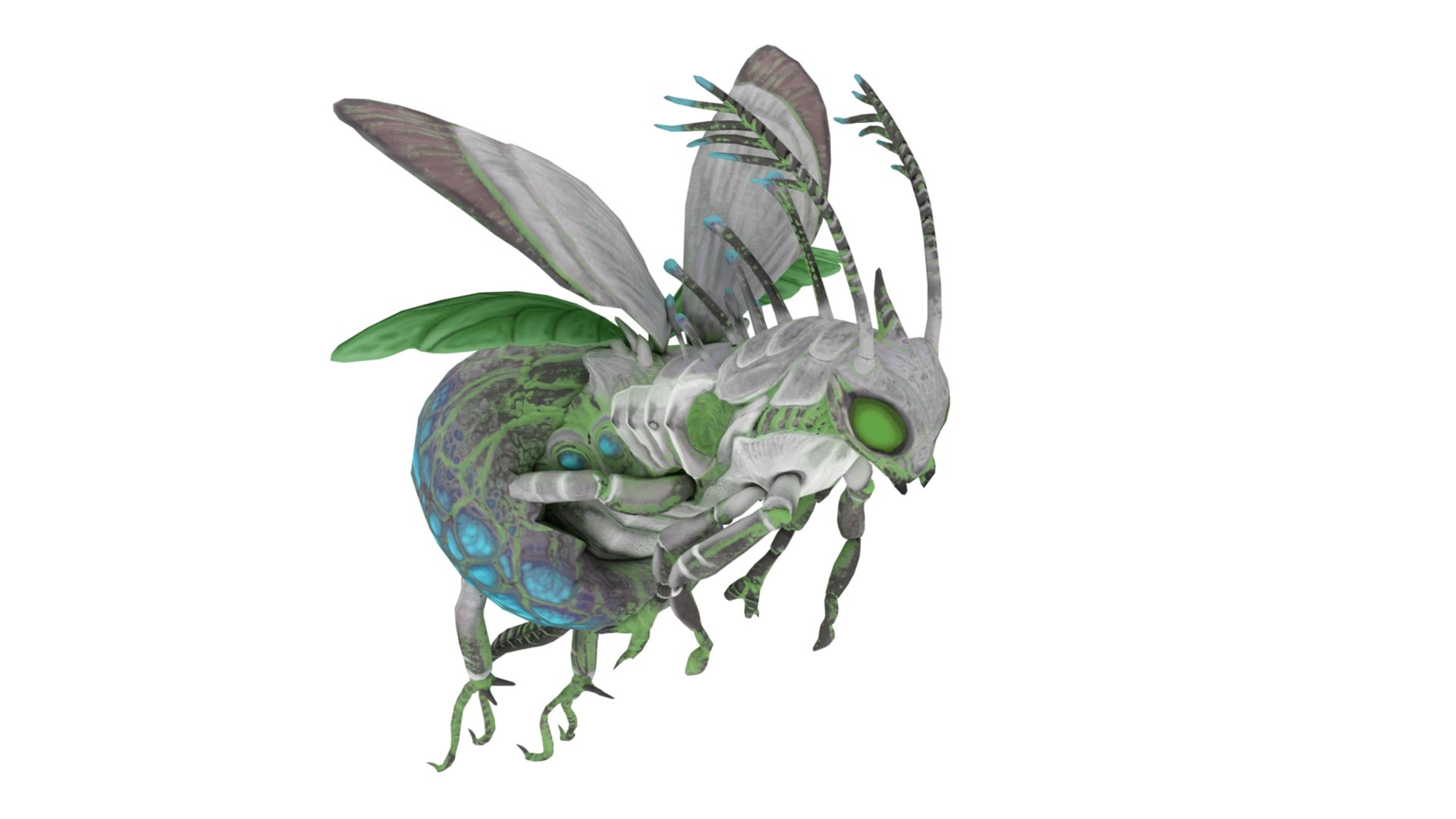 3D Model Bug - TurboSquid 2303306