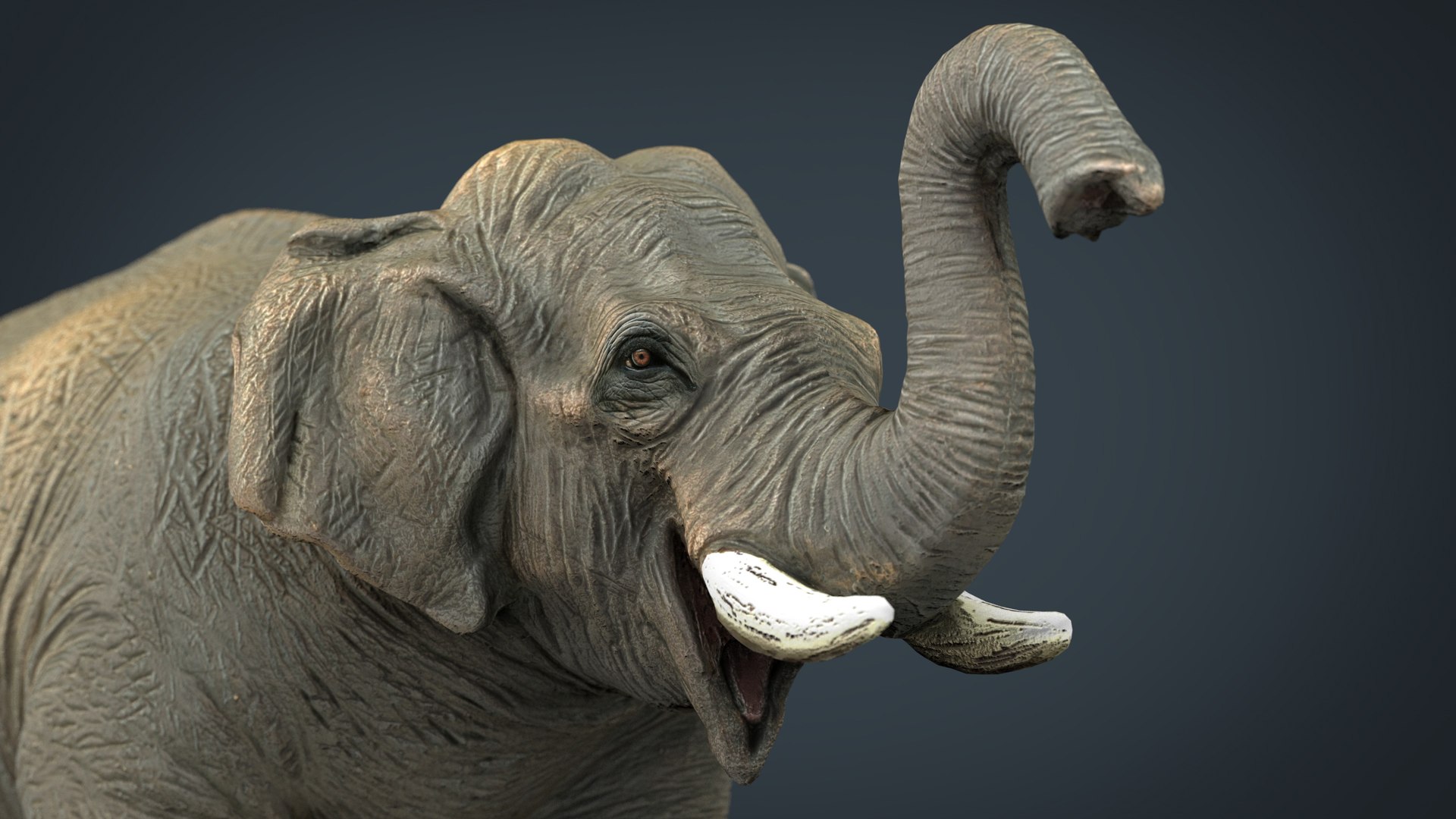 3d Asian Elephant