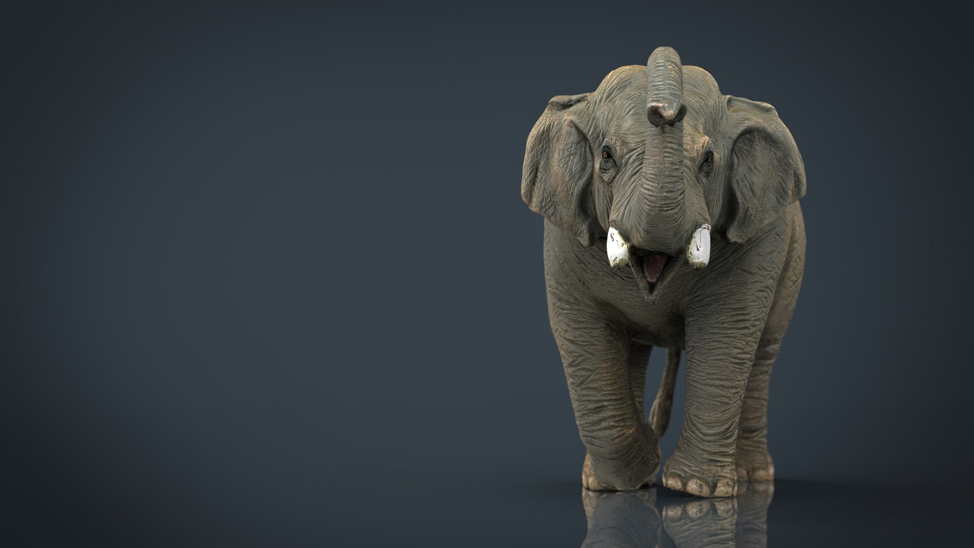 3d Asian Elephant