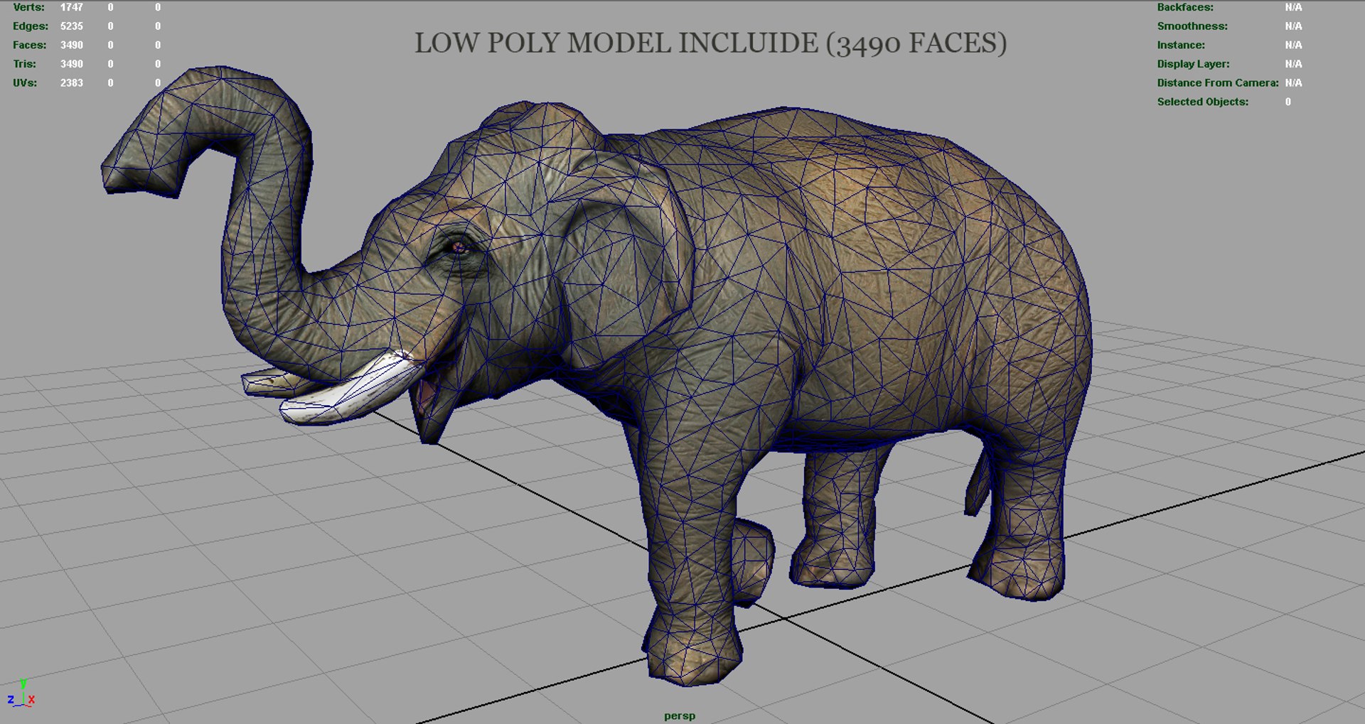 3d Asian Elephant