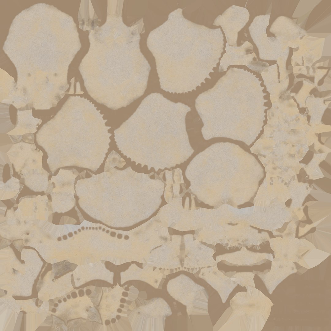 Skull Bones Model - TurboSquid 1865915