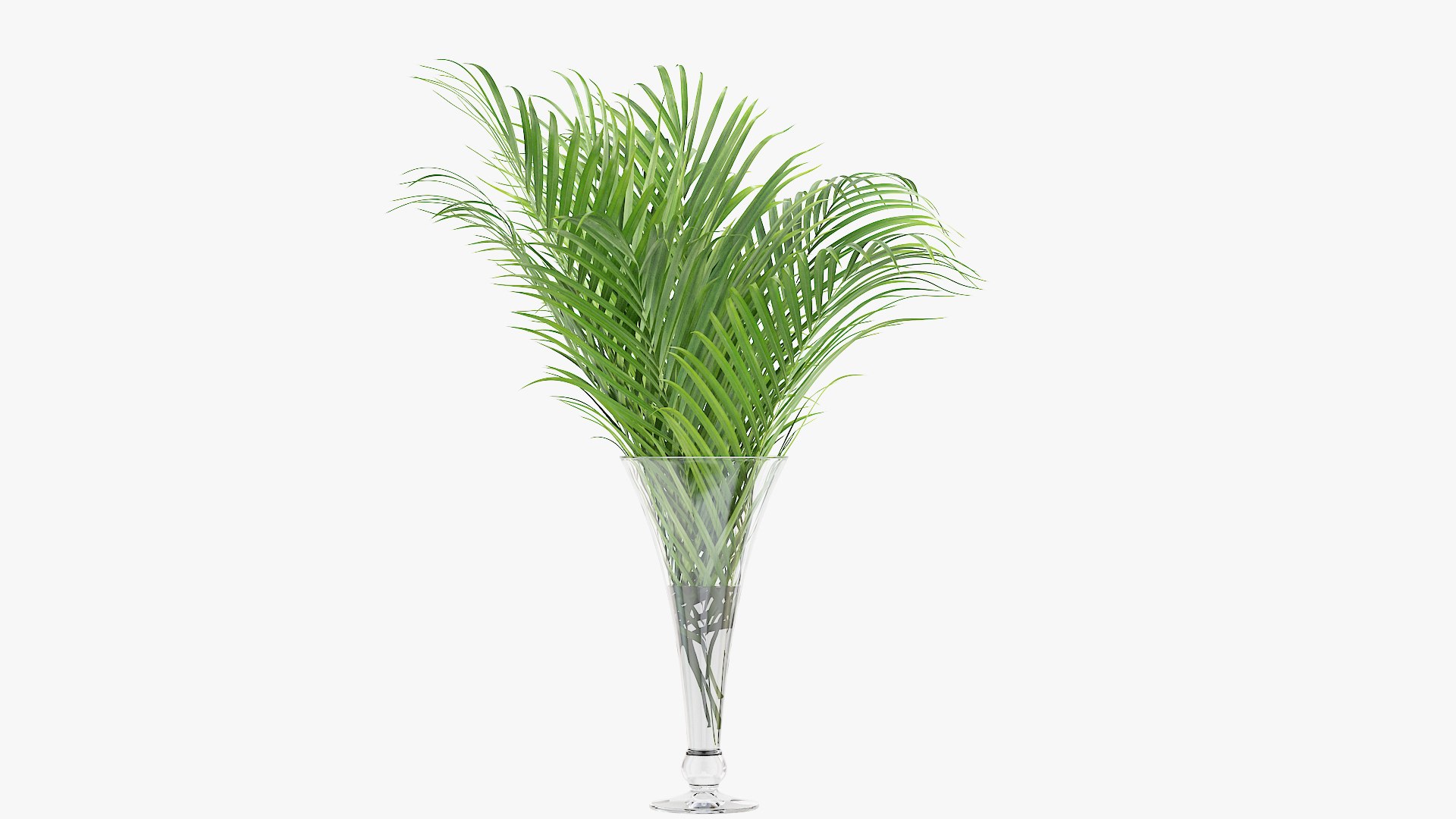 3D Palm Leaves Model - TurboSquid 1538448