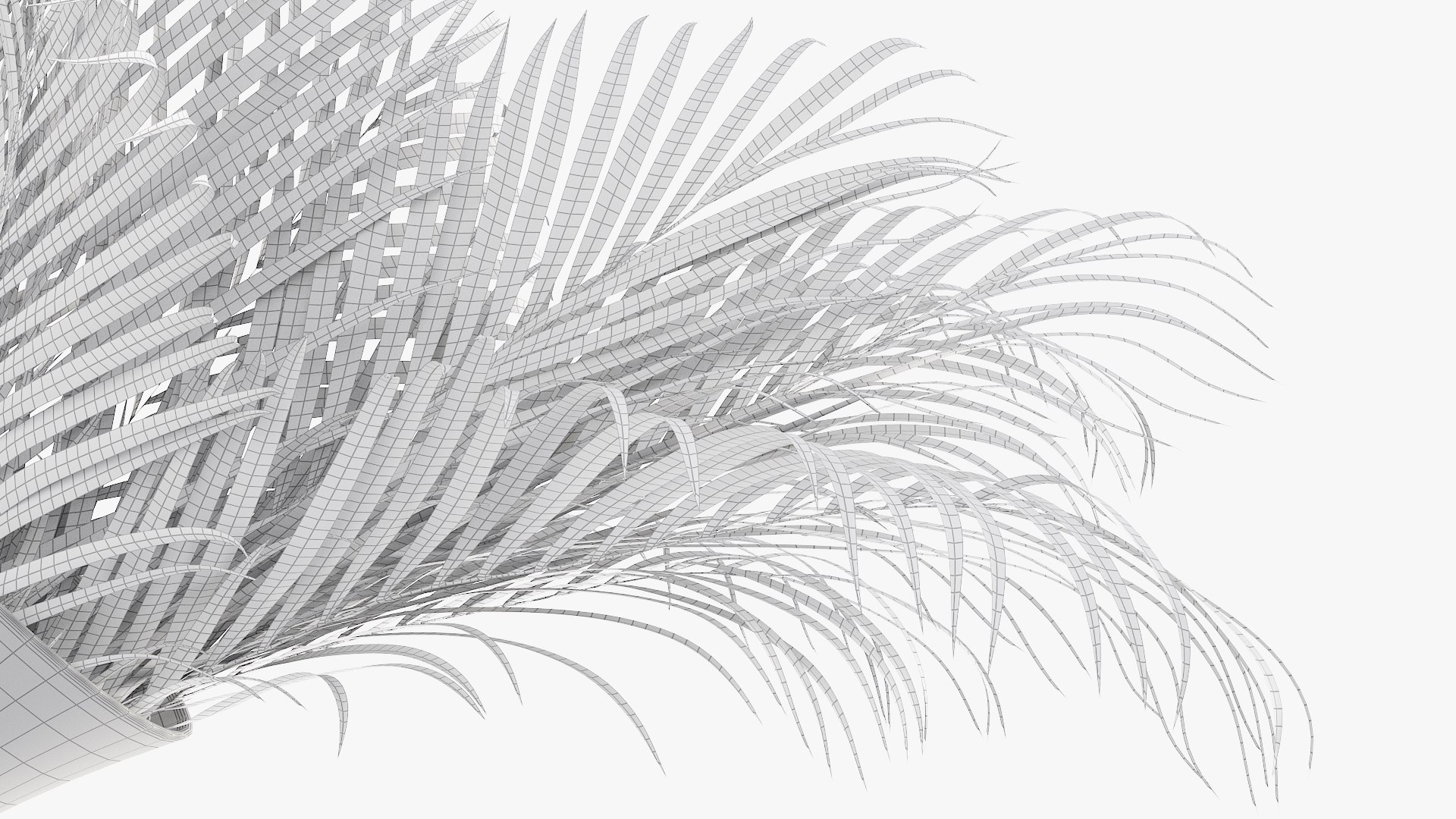 3D Palm Leaves Model - TurboSquid 1538448
