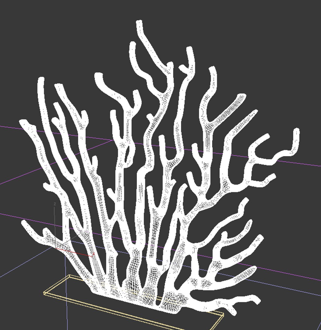 3d Korall Oration Model