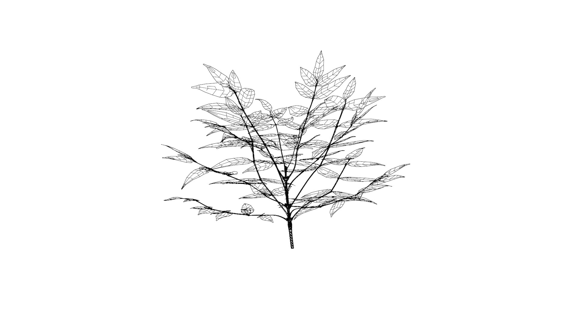3D Fraxinus Excelsior Ash Twig 3D Model Botanical Beauty in Intricate ...