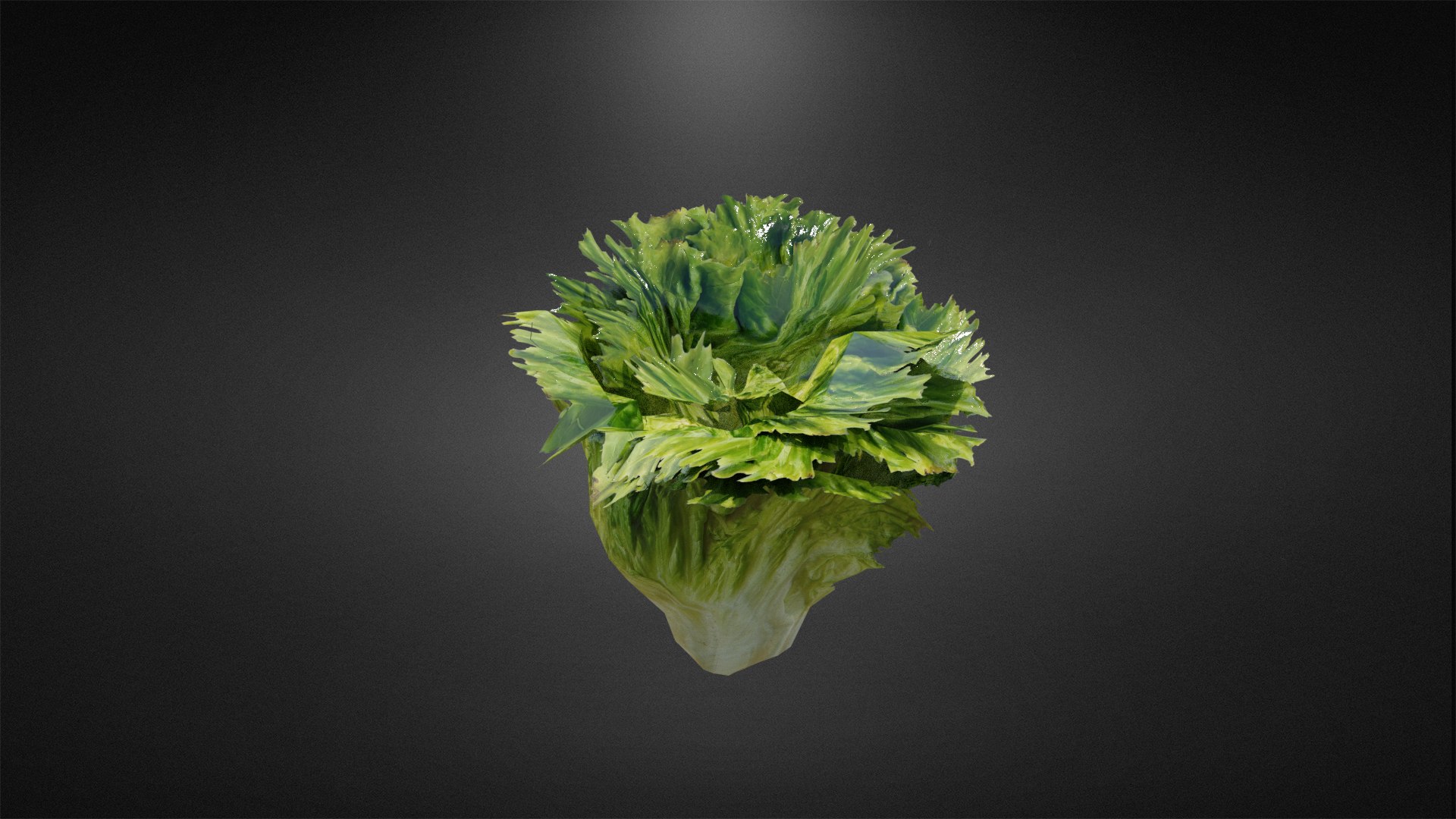 3D Lettuce Model - TurboSquid 1926307