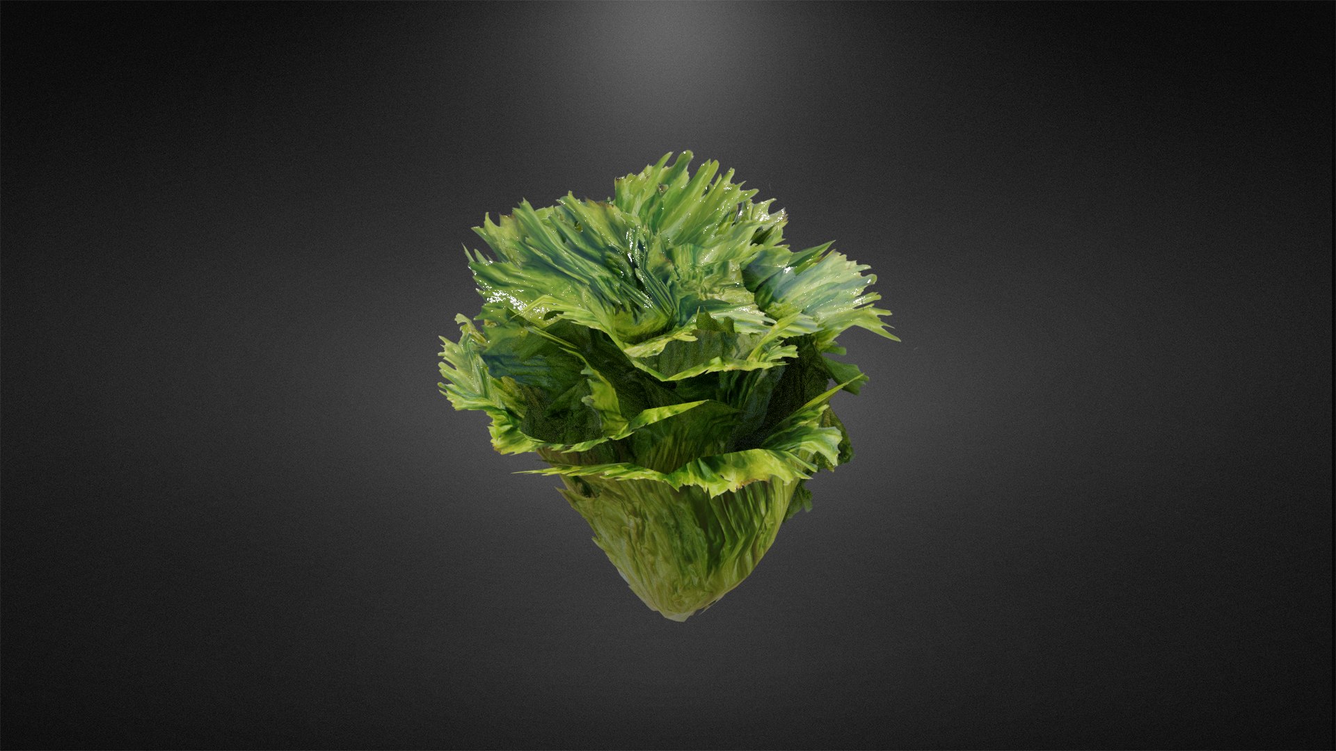 3D Lettuce Model - TurboSquid 1926307