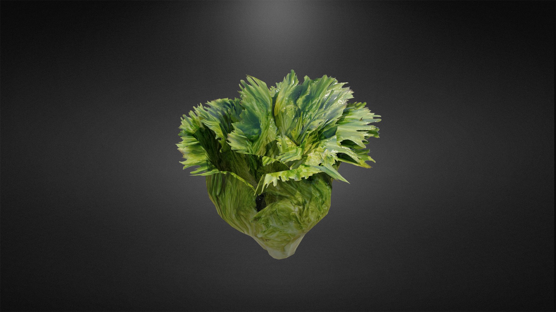 3D Lettuce Model - TurboSquid 1926307