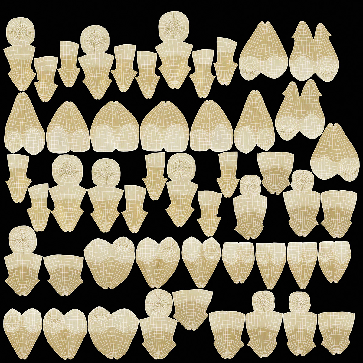 Zbrush teeth - 3D model - TurboSquid 1625452