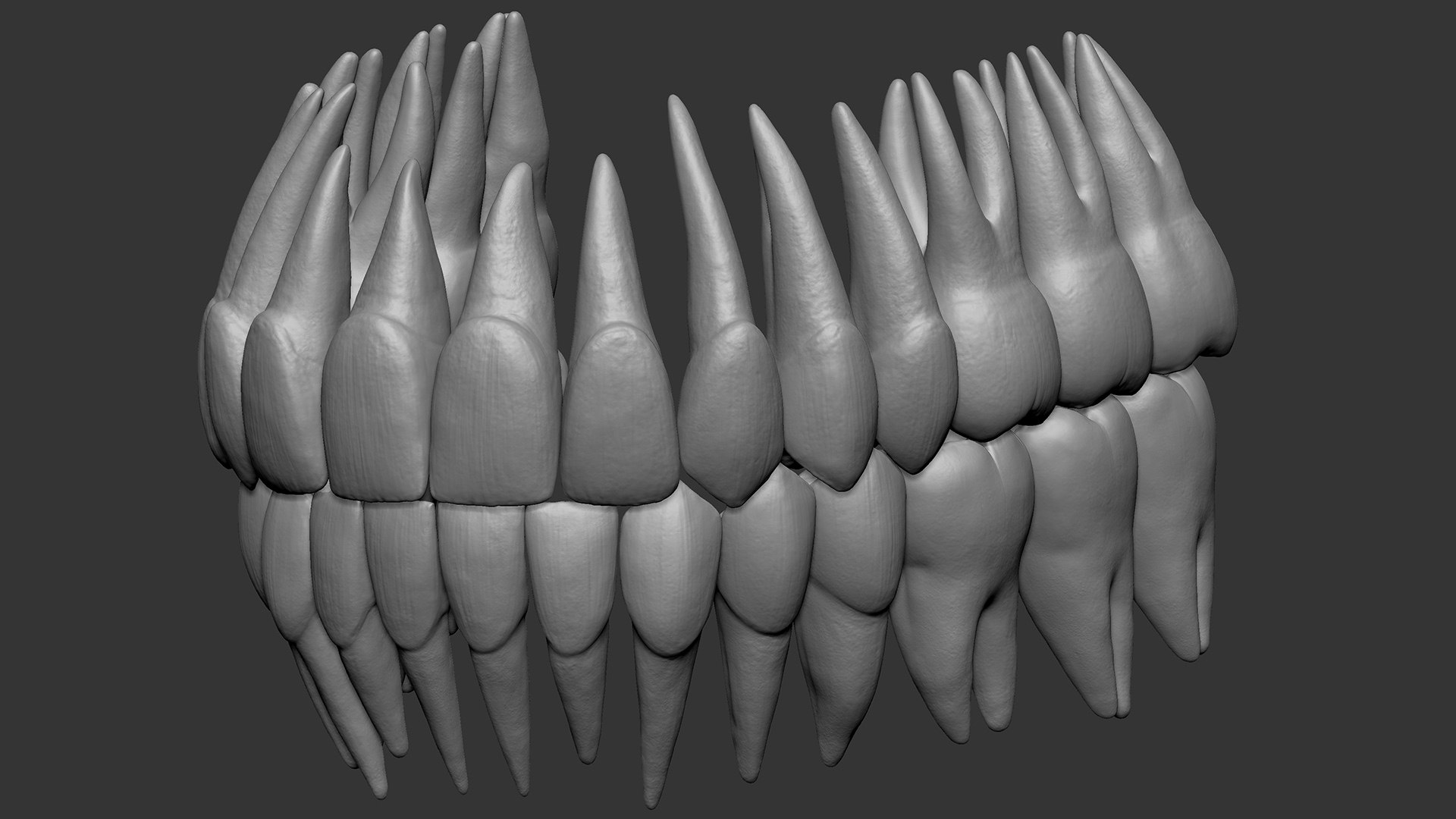 Zbrush Teeth - 3D Model - TurboSquid 1625452