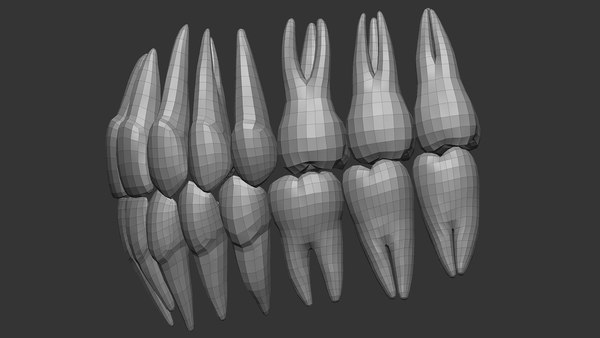 Zbrush teeth - 3D model - TurboSquid 1625452