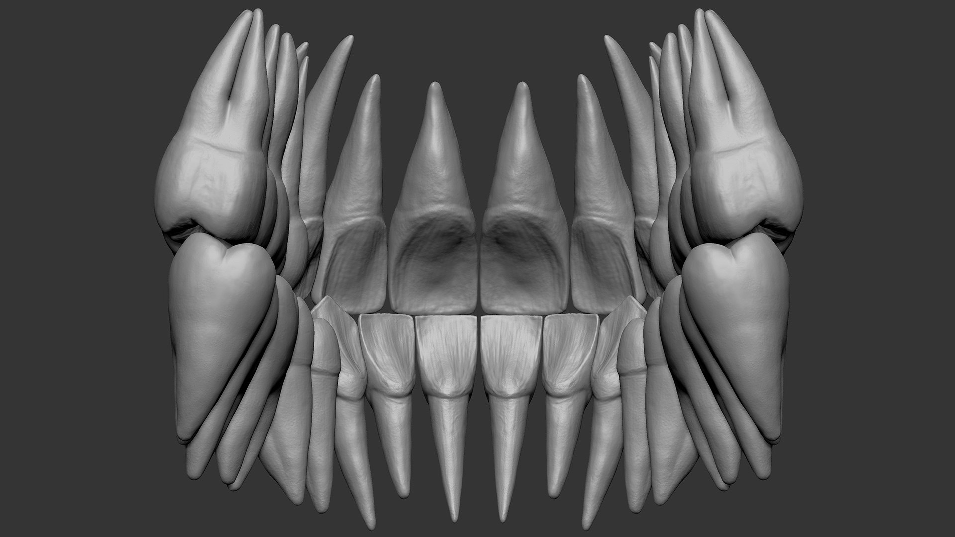 Zbrush Teeth - 3D Model - TurboSquid 1625452