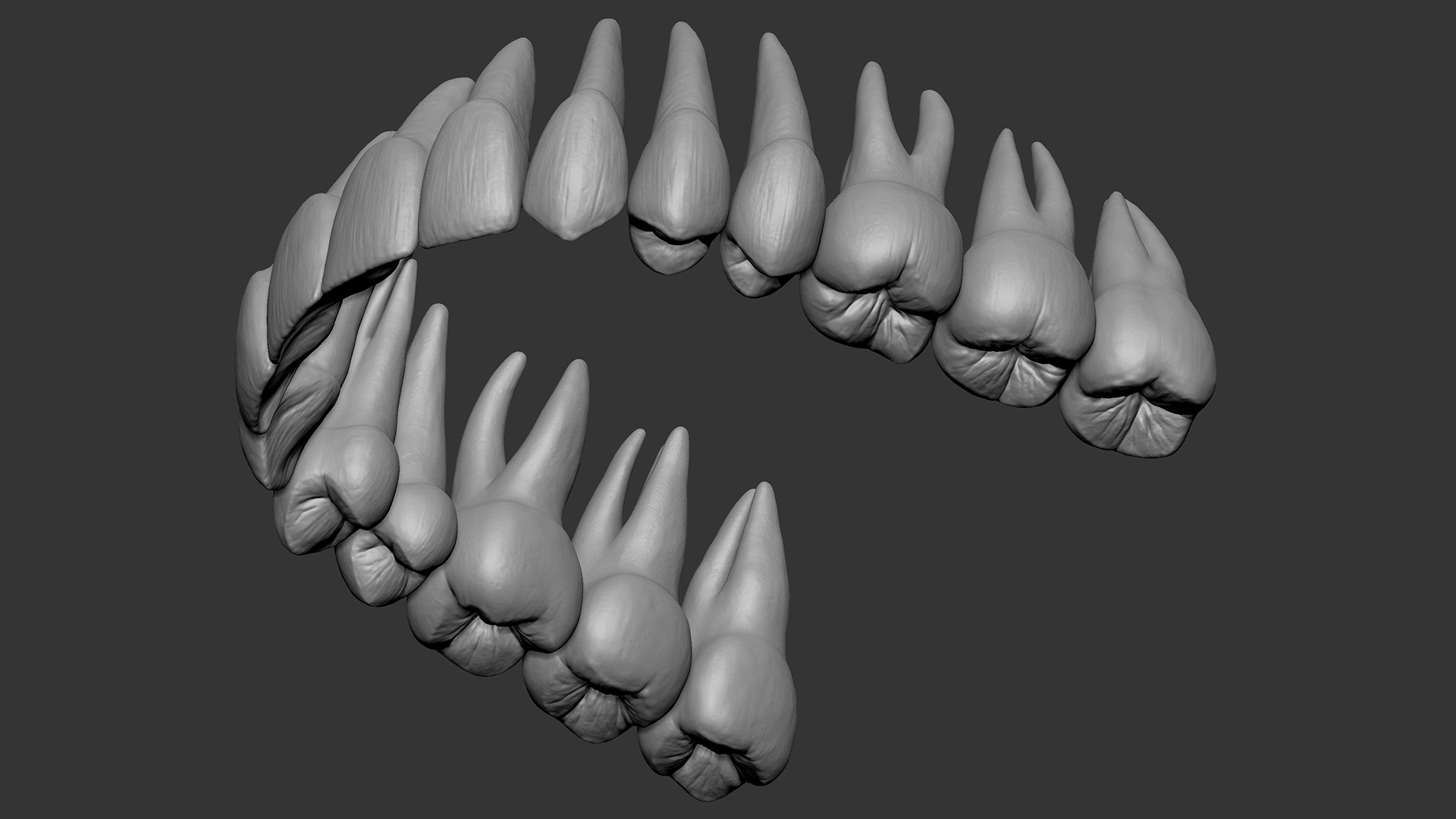 Zbrush Teeth - 3D Model - TurboSquid 1625452