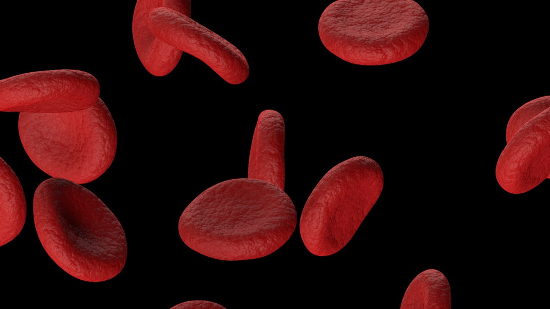 3D Red Blood Cells Model - TurboSquid 1407818