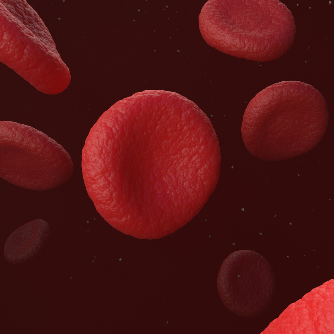 3D Red Blood Cells Model - TurboSquid 1407818