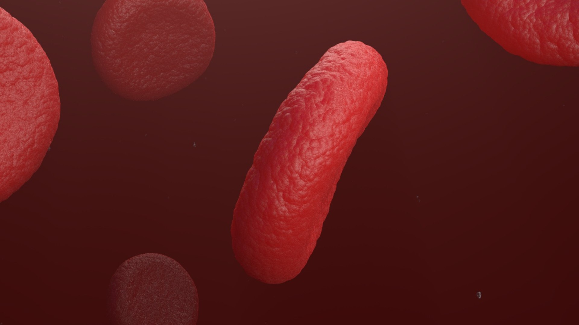 3D Red Blood Cells Model - TurboSquid 1407818