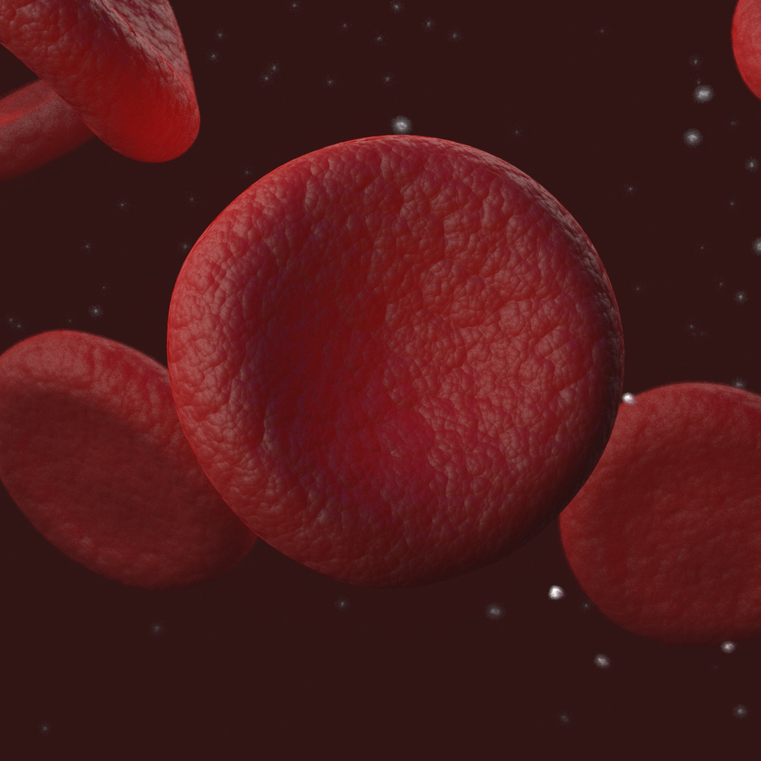 3D Red Blood Cells Model - TurboSquid 1407818