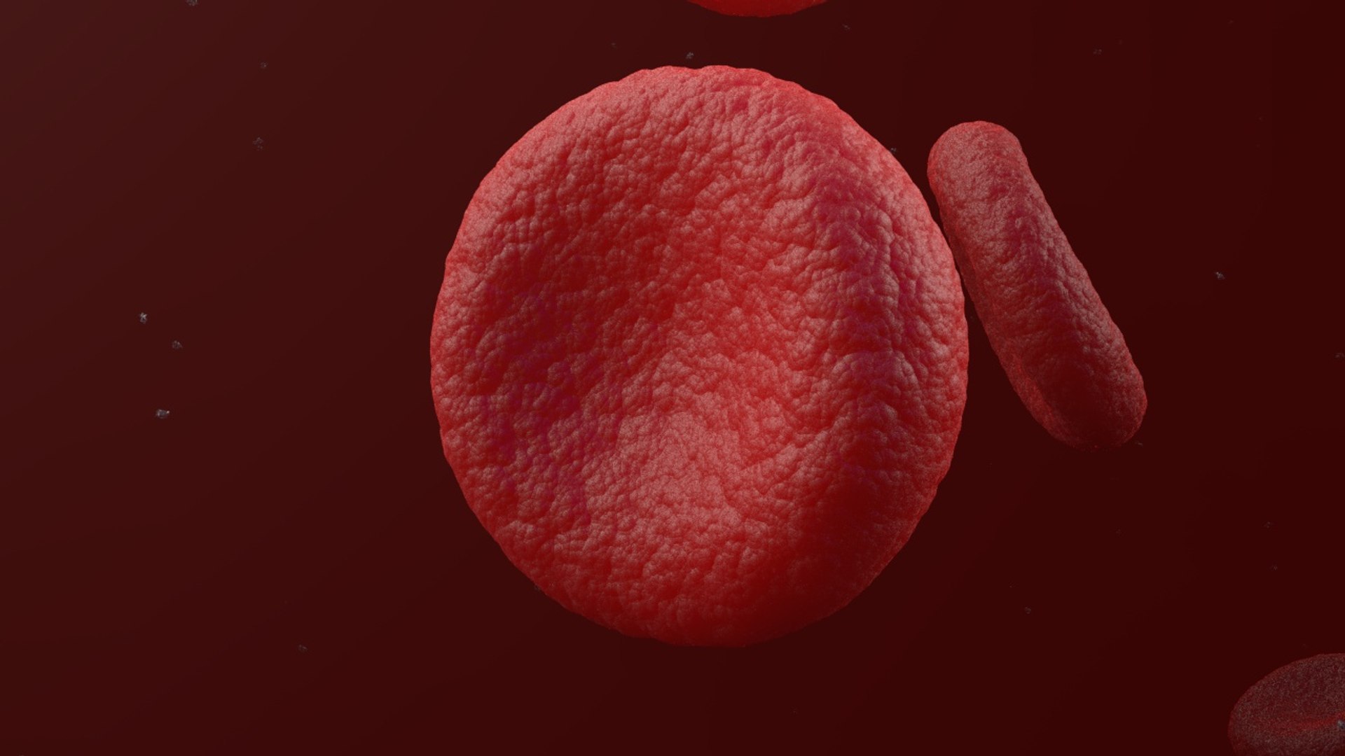 3D Red Blood Cells Model - TurboSquid 1407818