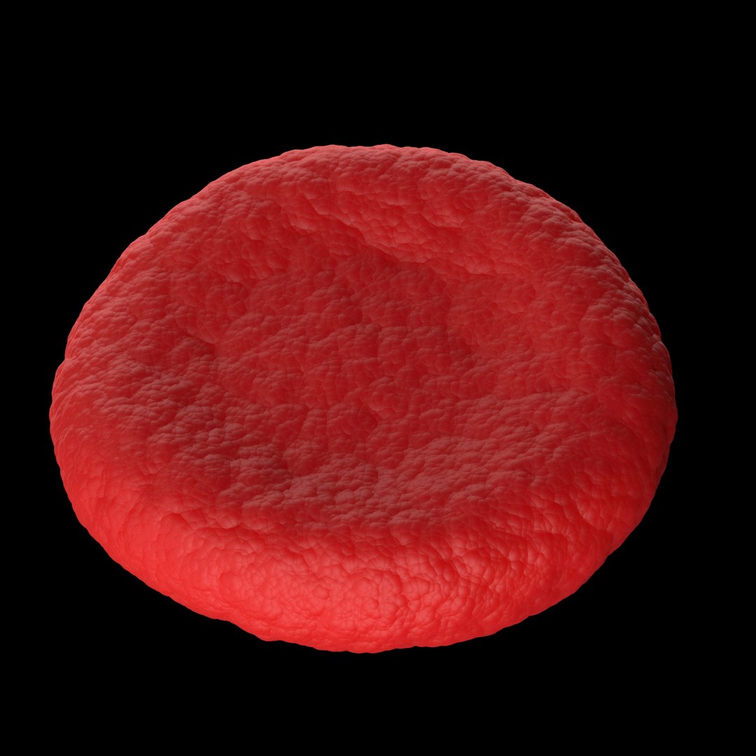 3D Red Blood Cells Model - TurboSquid 1407818
