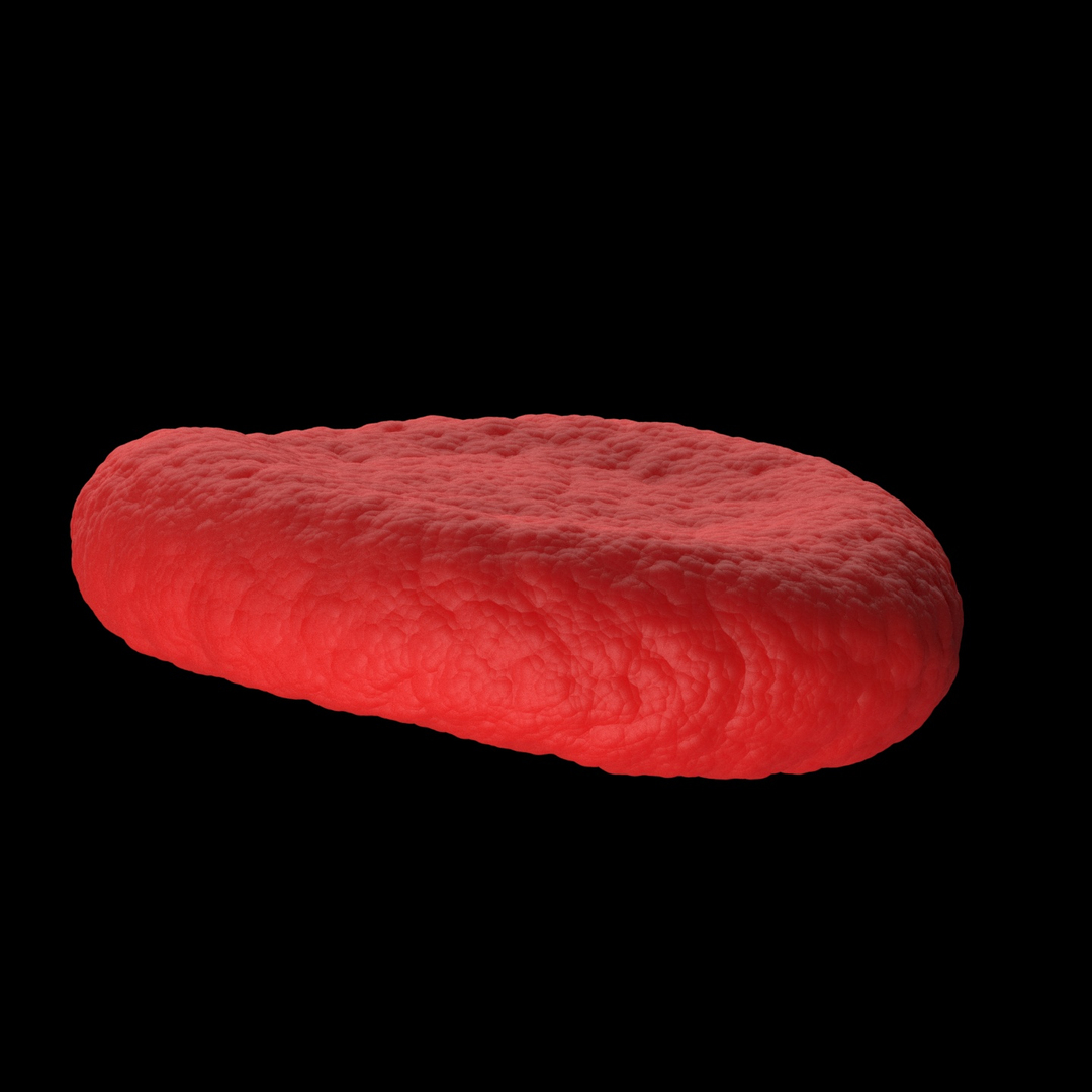 3D Red Blood Cells Model - TurboSquid 1407818