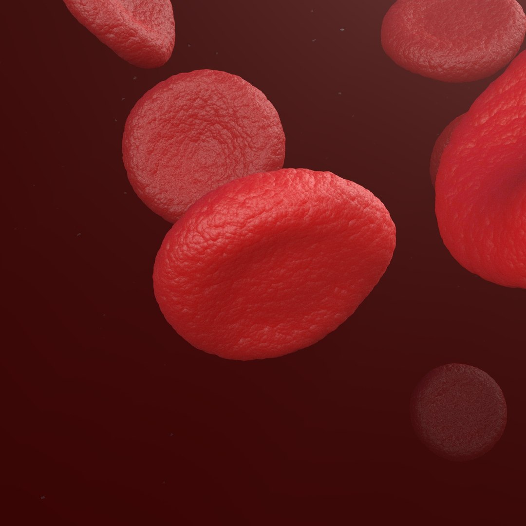 3D Red Blood Cells Model - TurboSquid 1407818