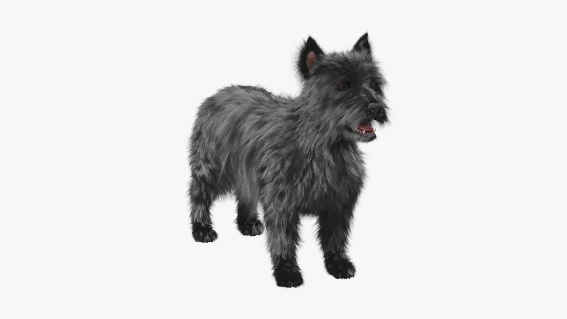 3D Mongrel Dog Dark Standard Pose Fur Model - TurboSquid 2413099
