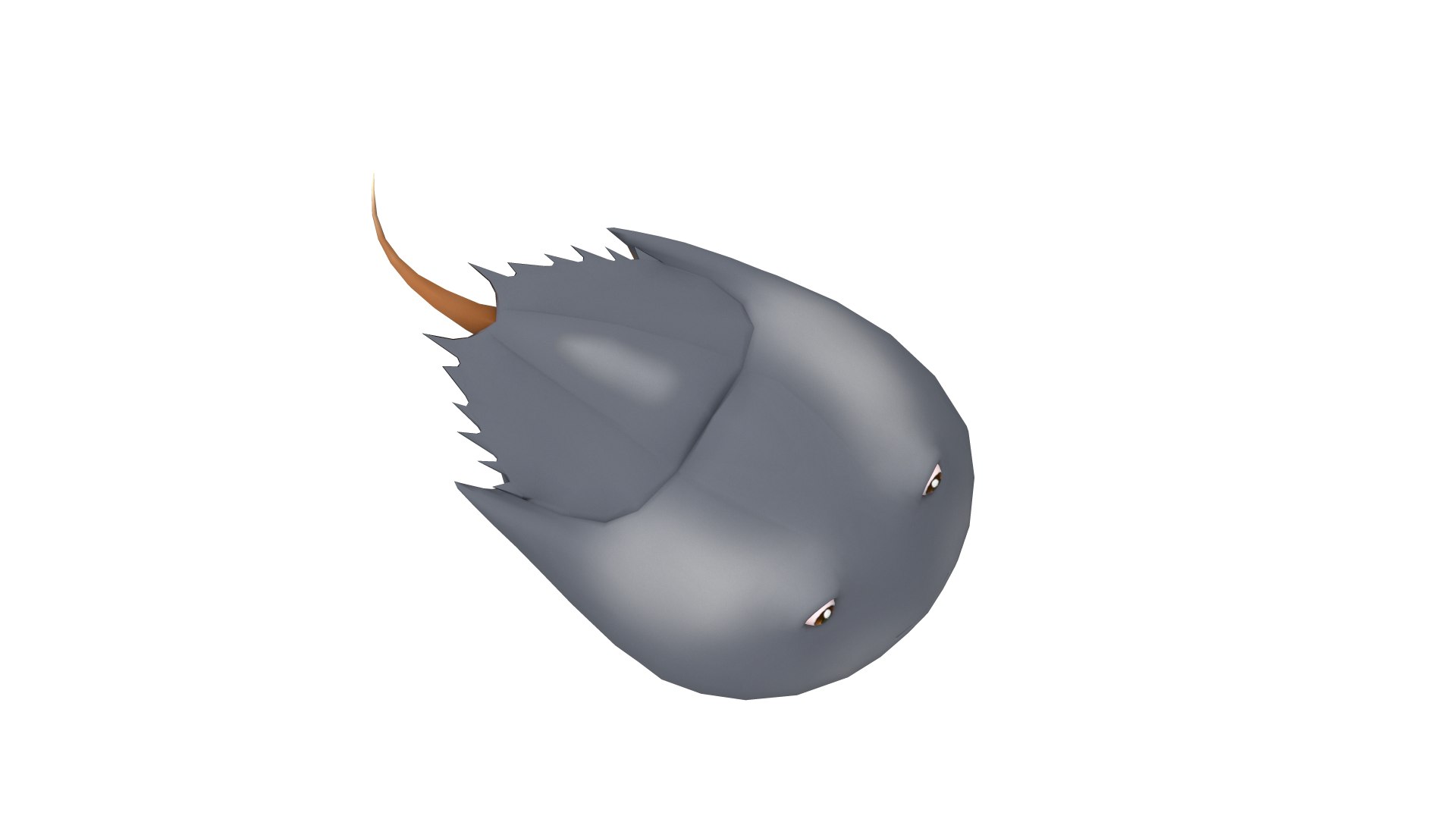 3D Model Horseshoe Crab Toon Animation - TurboSquid 1586137