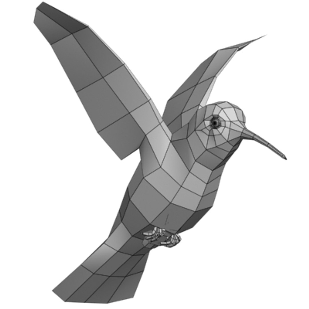 Realistic Humming Bird Hummingbird 3d Model