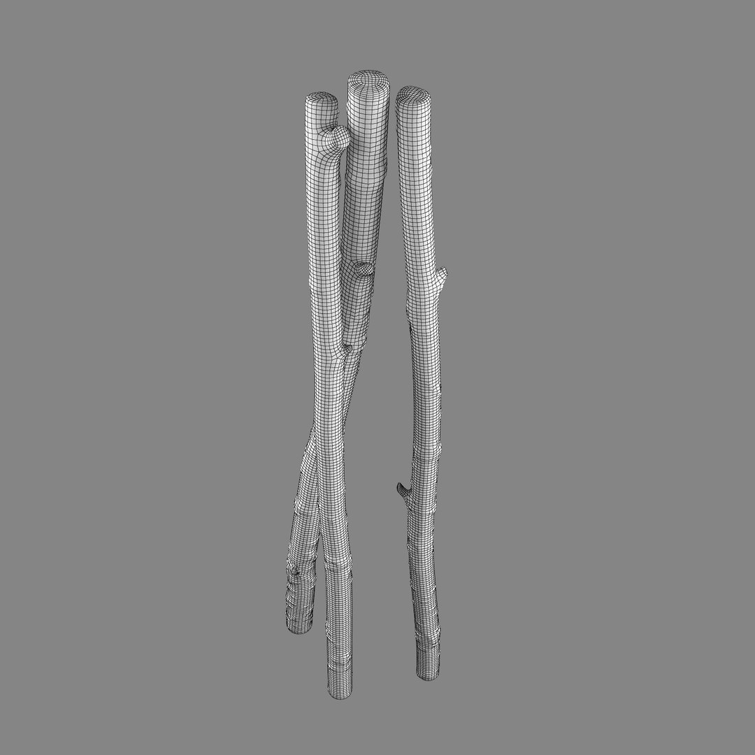 Birch Branches 3D Model - TurboSquid 1418583