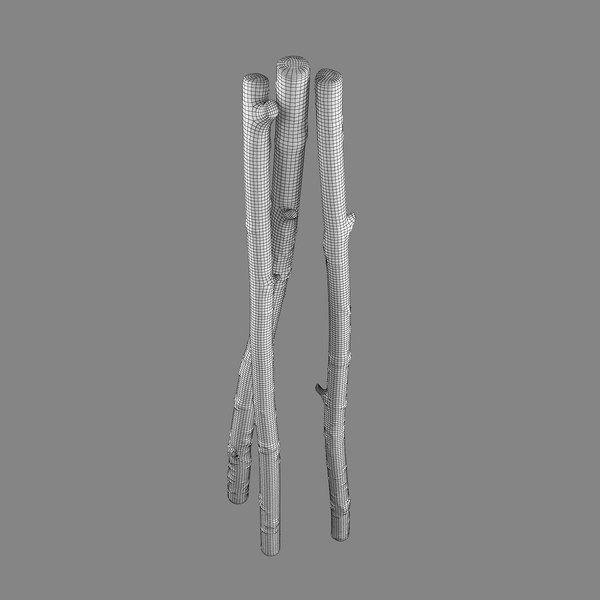 자작 나무 가지 3D 모델 - TurboSquid 1418583