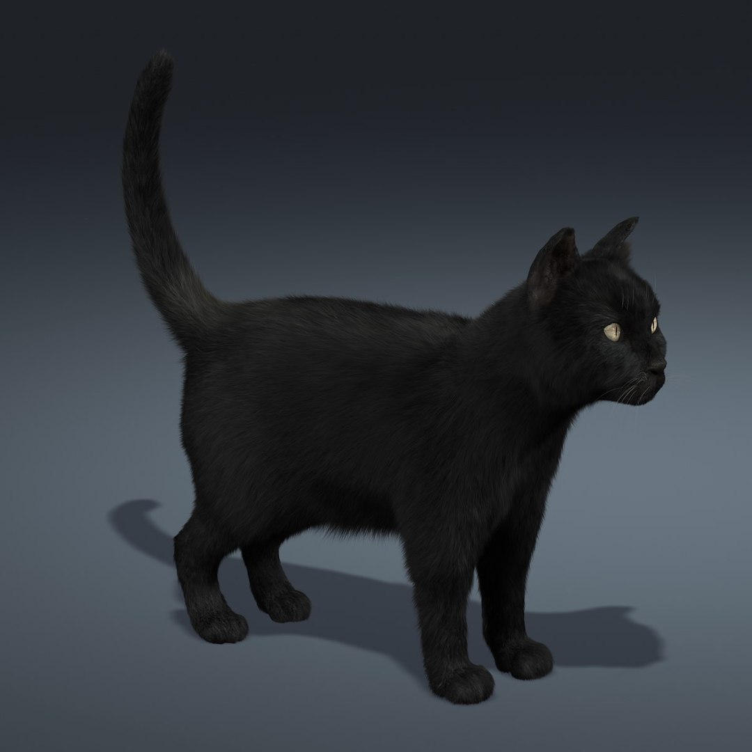Cats Fur Animations 3d Model
