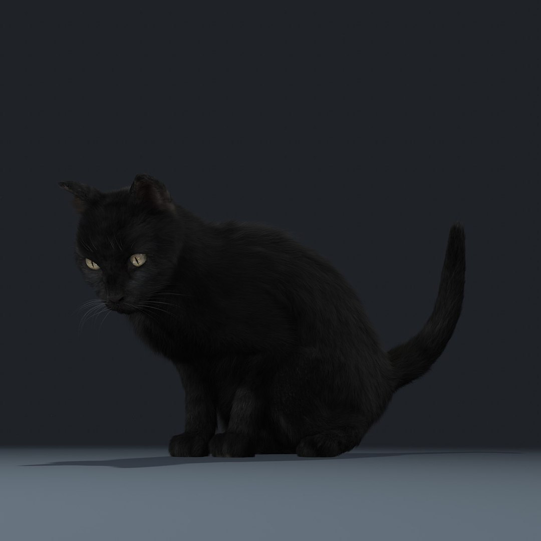 Cats Fur Animations 3d Model
