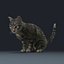 Cats Fur Animations 3d Model