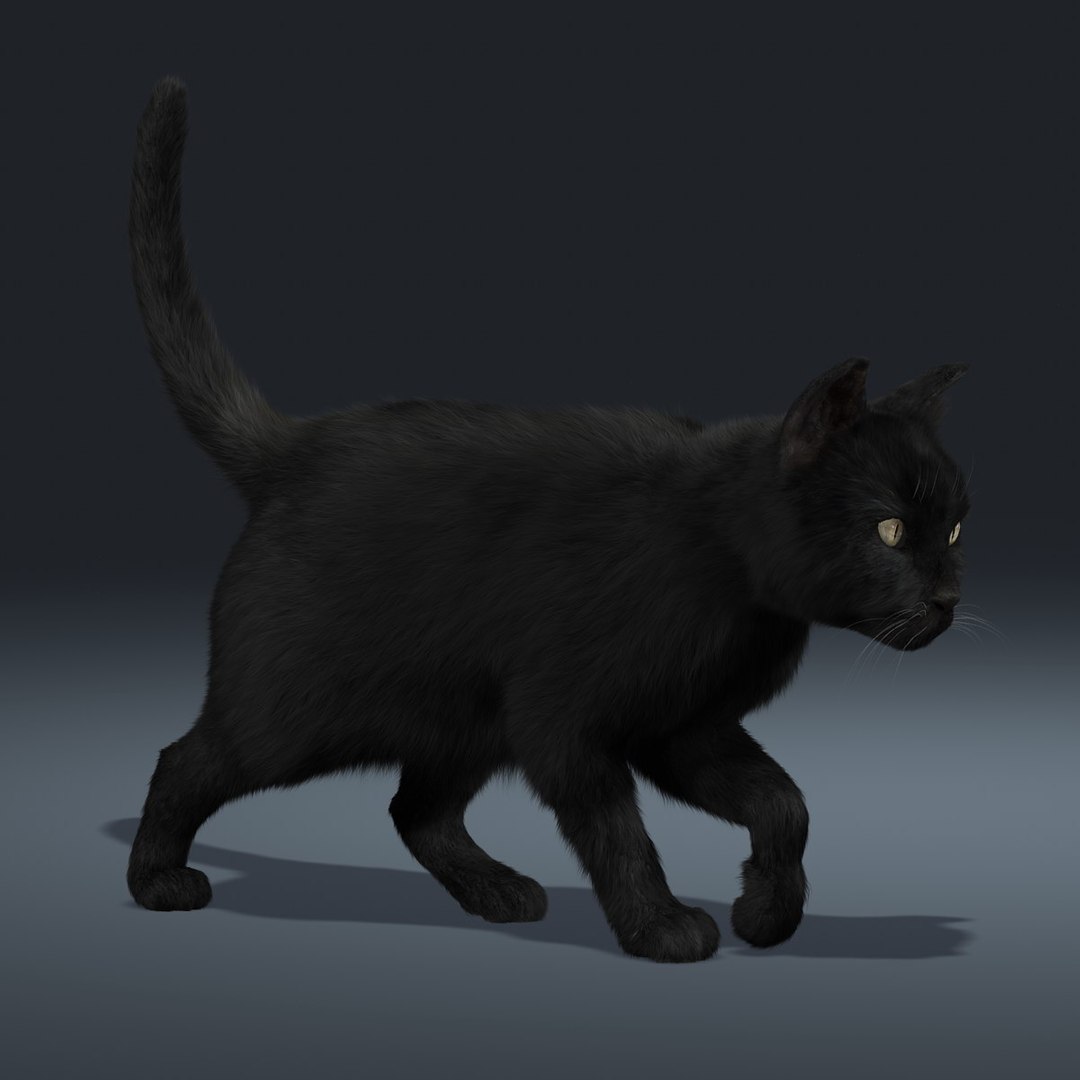cats fur animations 3d model