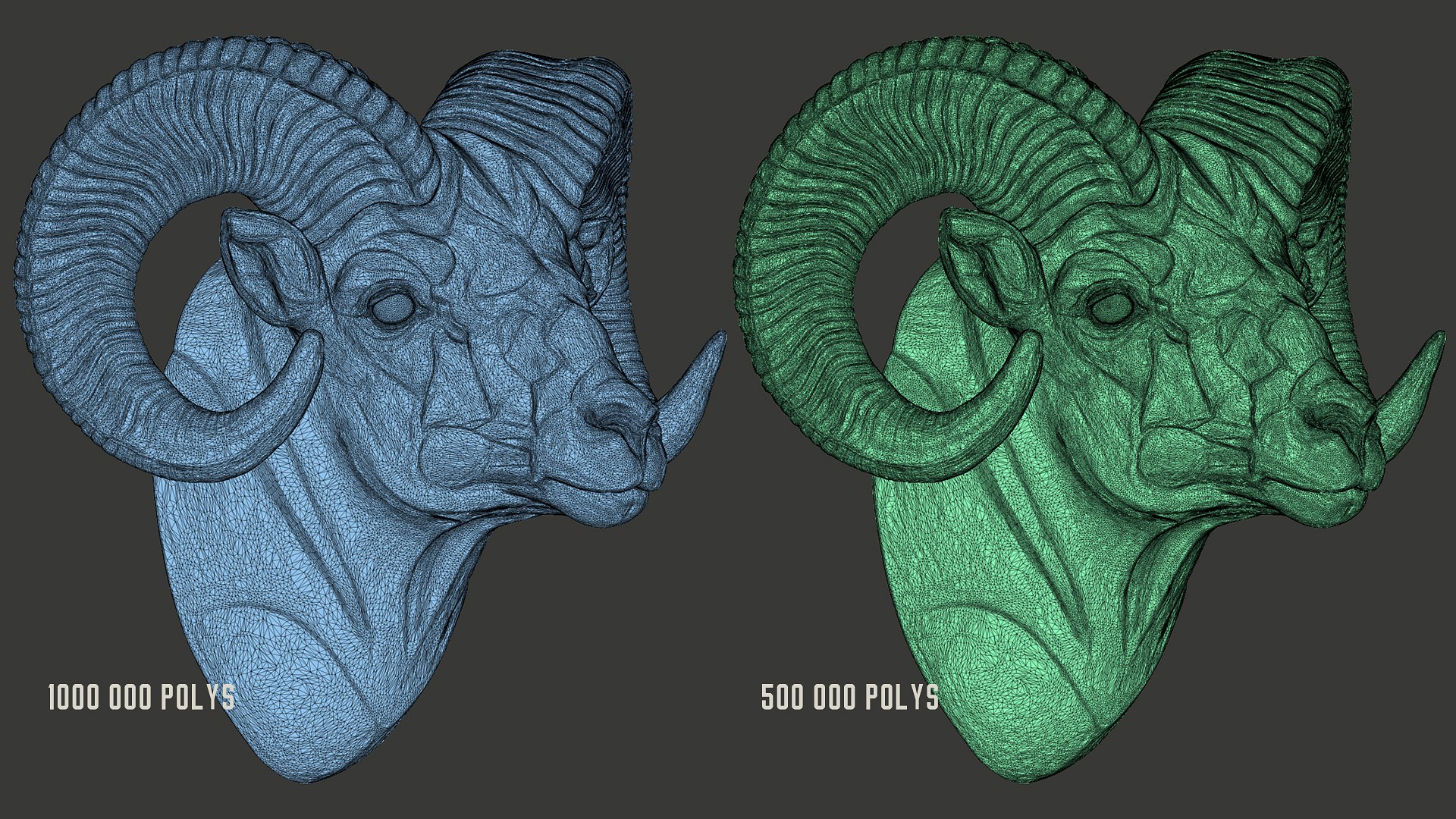 3D Sheep Ram Animal Head Model - TurboSquid 1650299