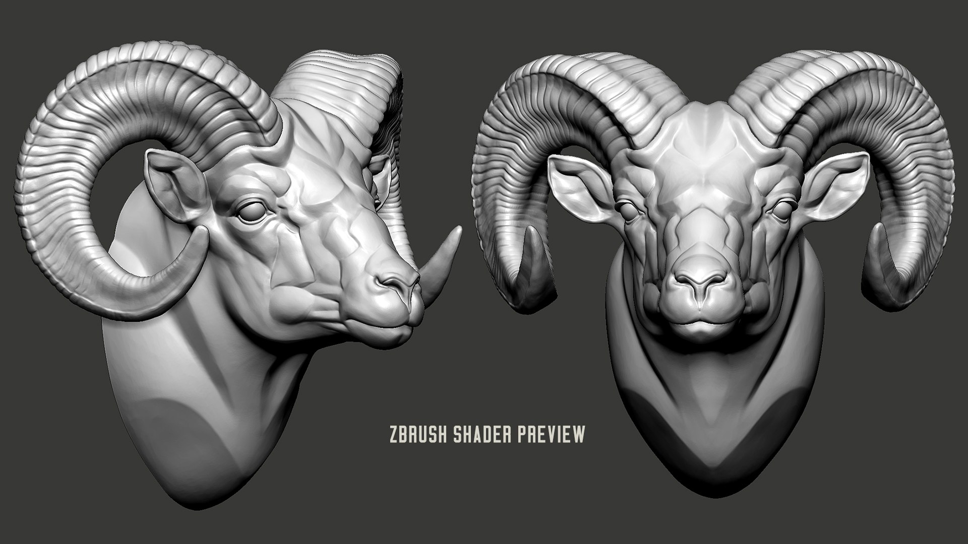3D Sheep Ram Animal Head Model - TurboSquid 1650299