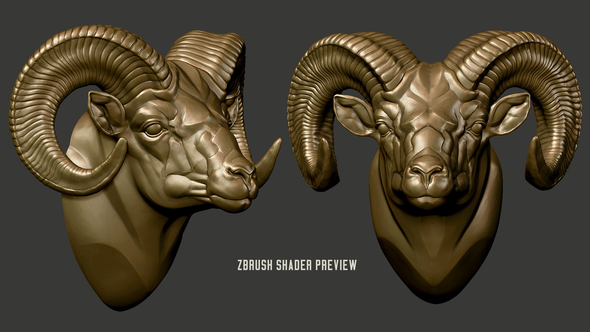 3D Sheep Ram Animal Head Model - TurboSquid 1650299