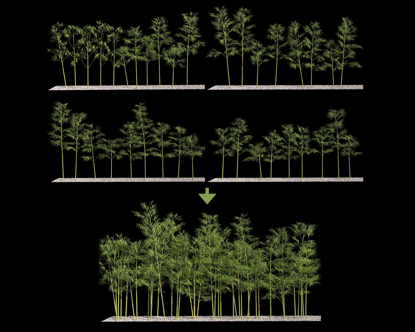 Bamboo Trees 4 3d Max