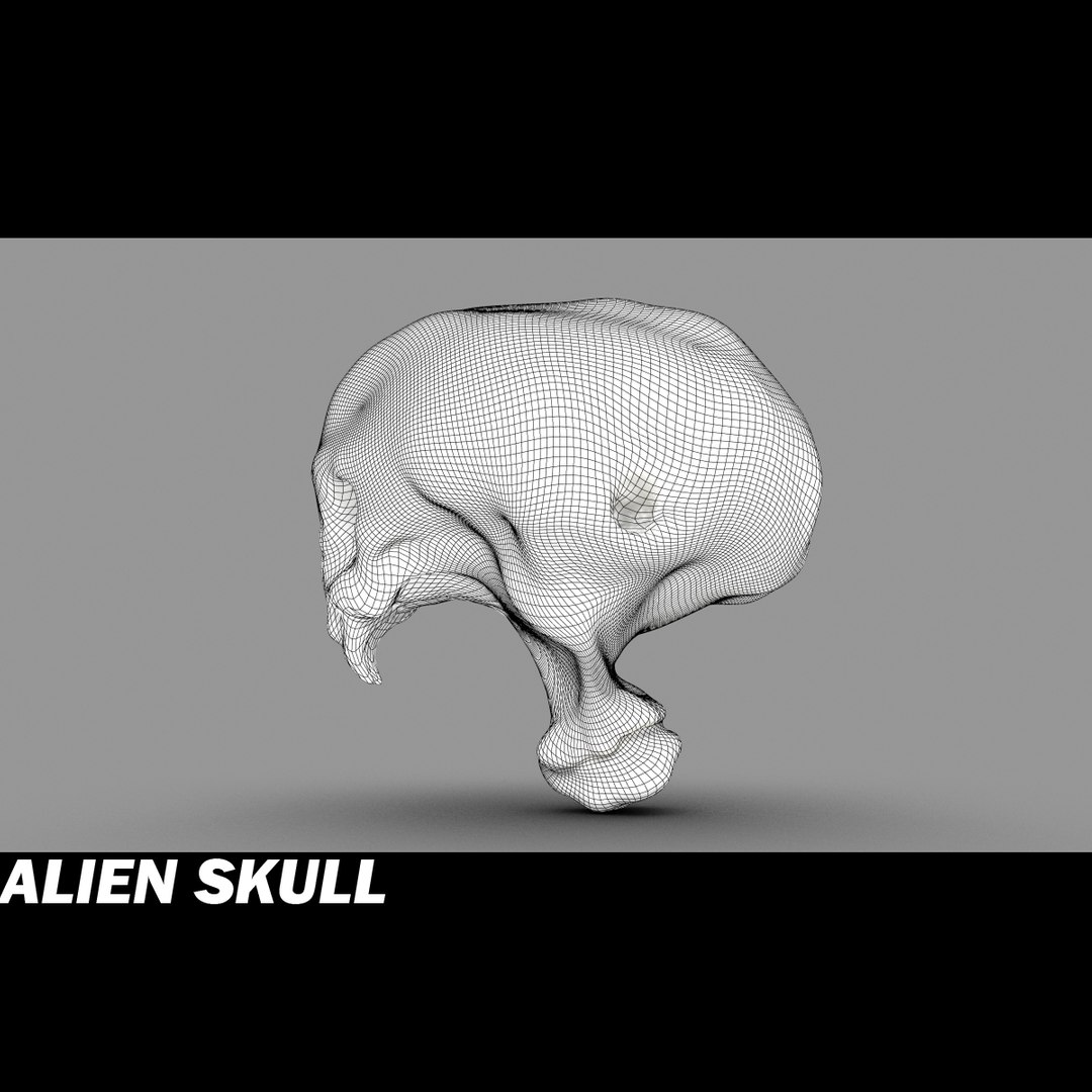 Alien Skull 3d Model