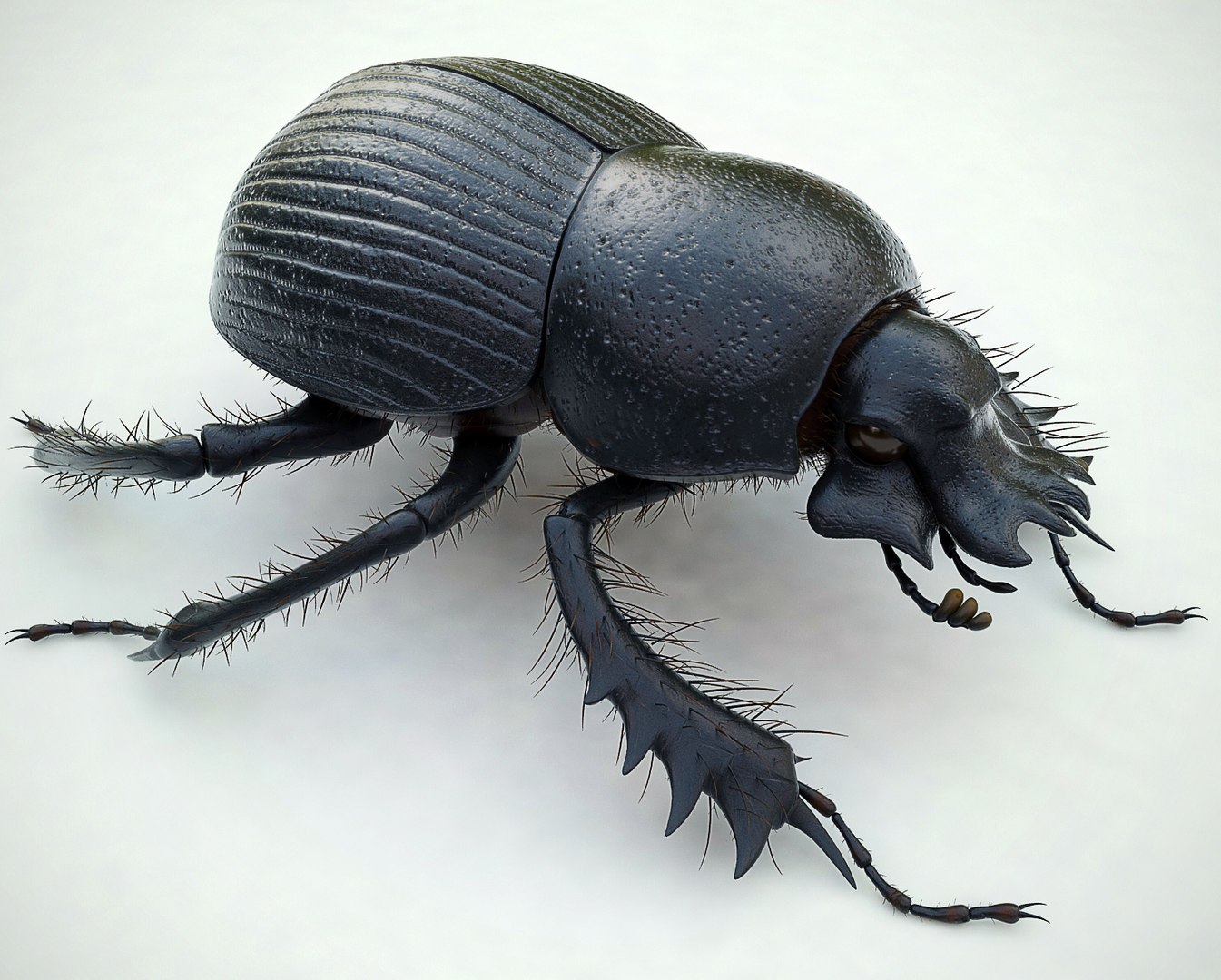 Max Dung Beetle