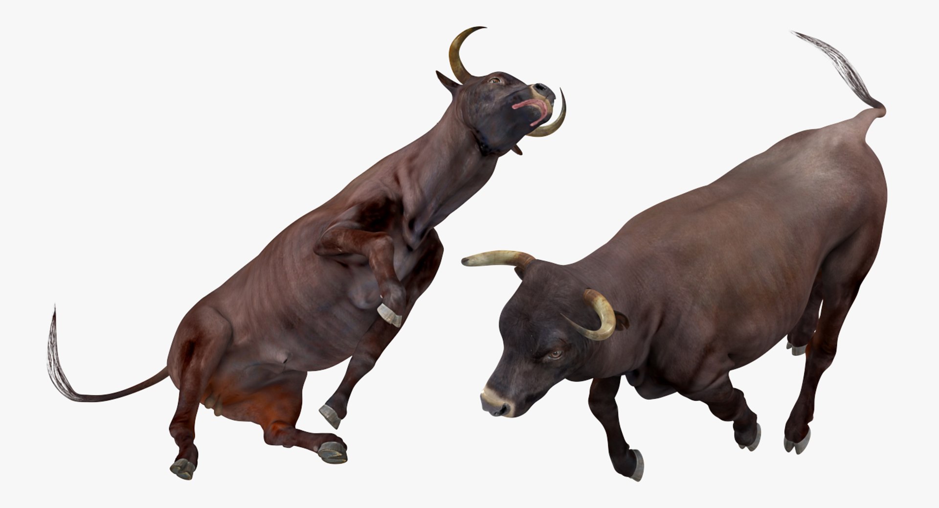 3D Bull Running Pose Model - TurboSquid 1217757