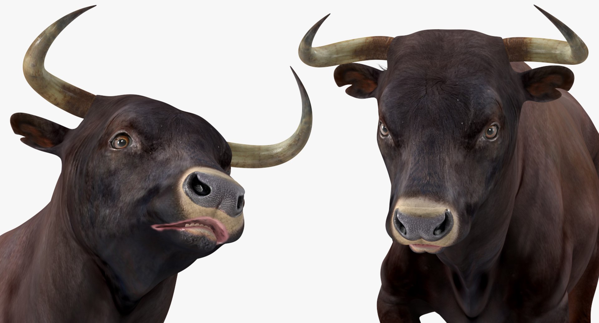 3D Bull Running Pose Model - TurboSquid 1217757