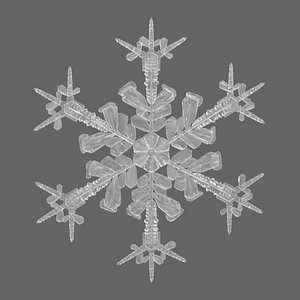 Snowflake Blender Models for Download | TurboSquid