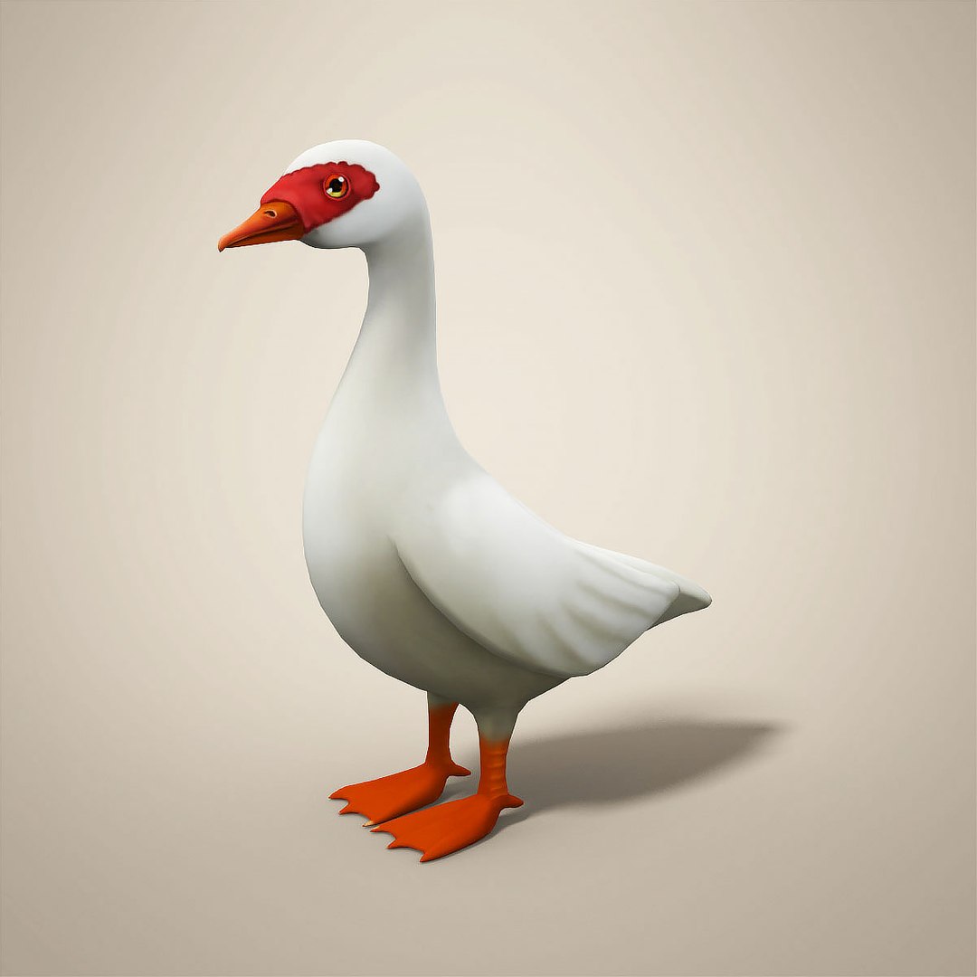 3D Cartoon Bird Toon - TurboSquid 1238331