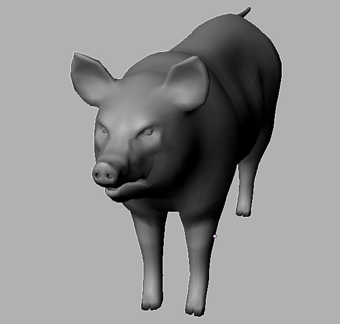 3d Pig Vertices