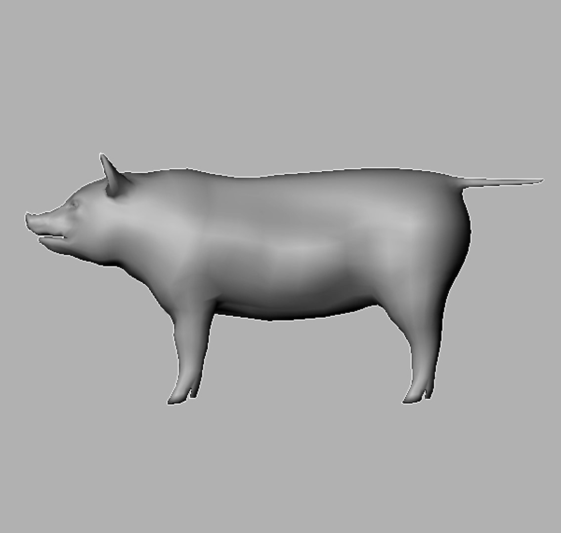 3d Pig Vertices